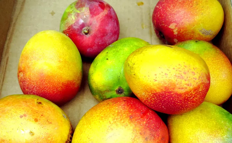 Gramps Getaway | Key Biscayne | Bars and Clubs | Music