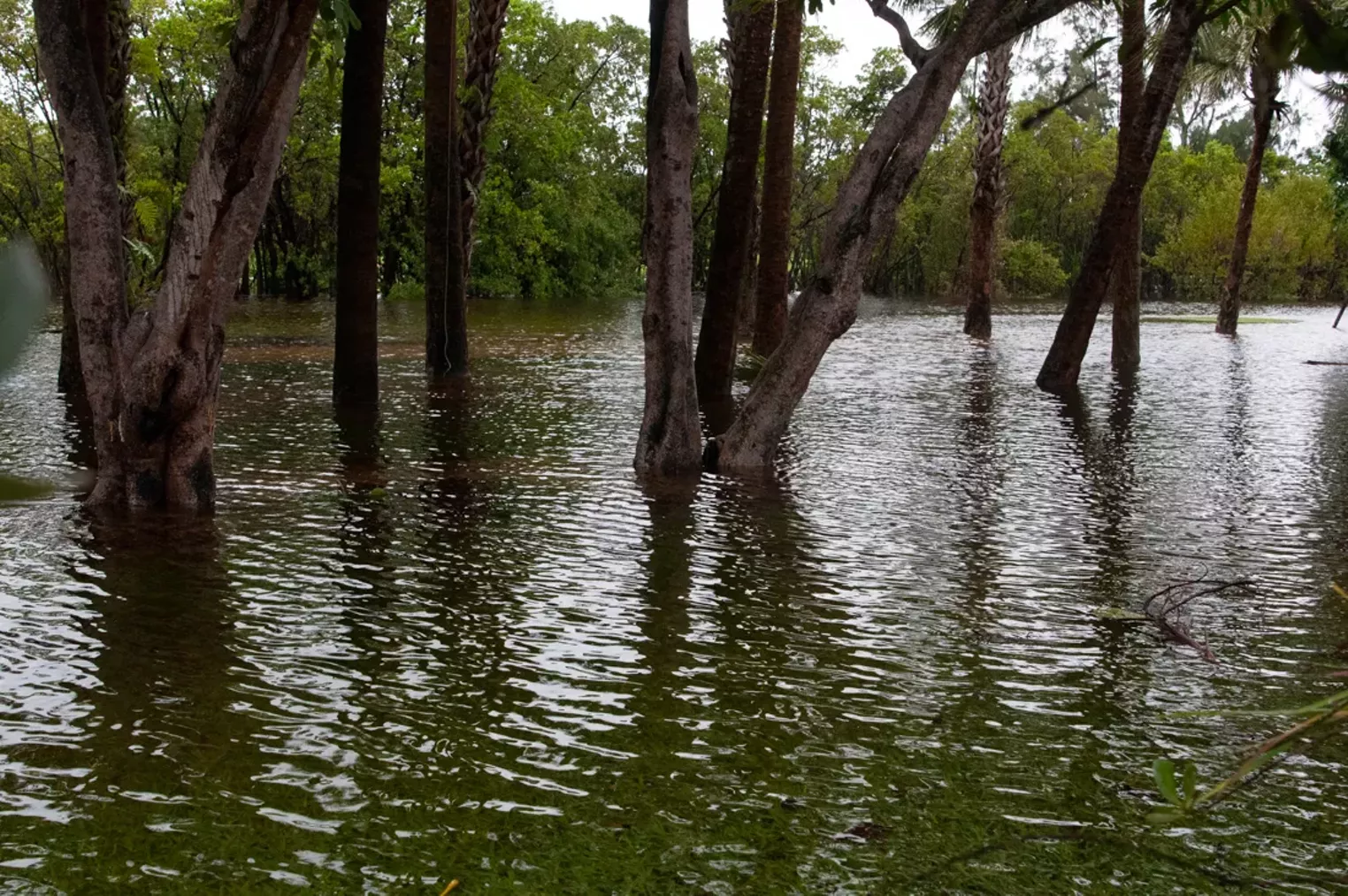 Photos: Flooding in Miami Beach After Tropical Cyclone One | Miami New ...