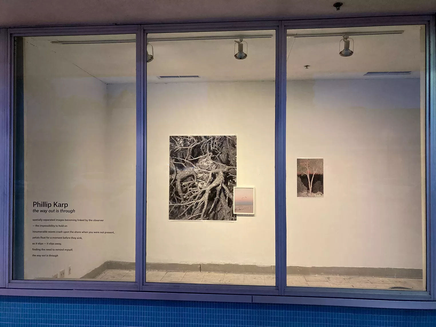 Phillip Karp's Photos Take Over Windows at Miami Beach Walgreens ...