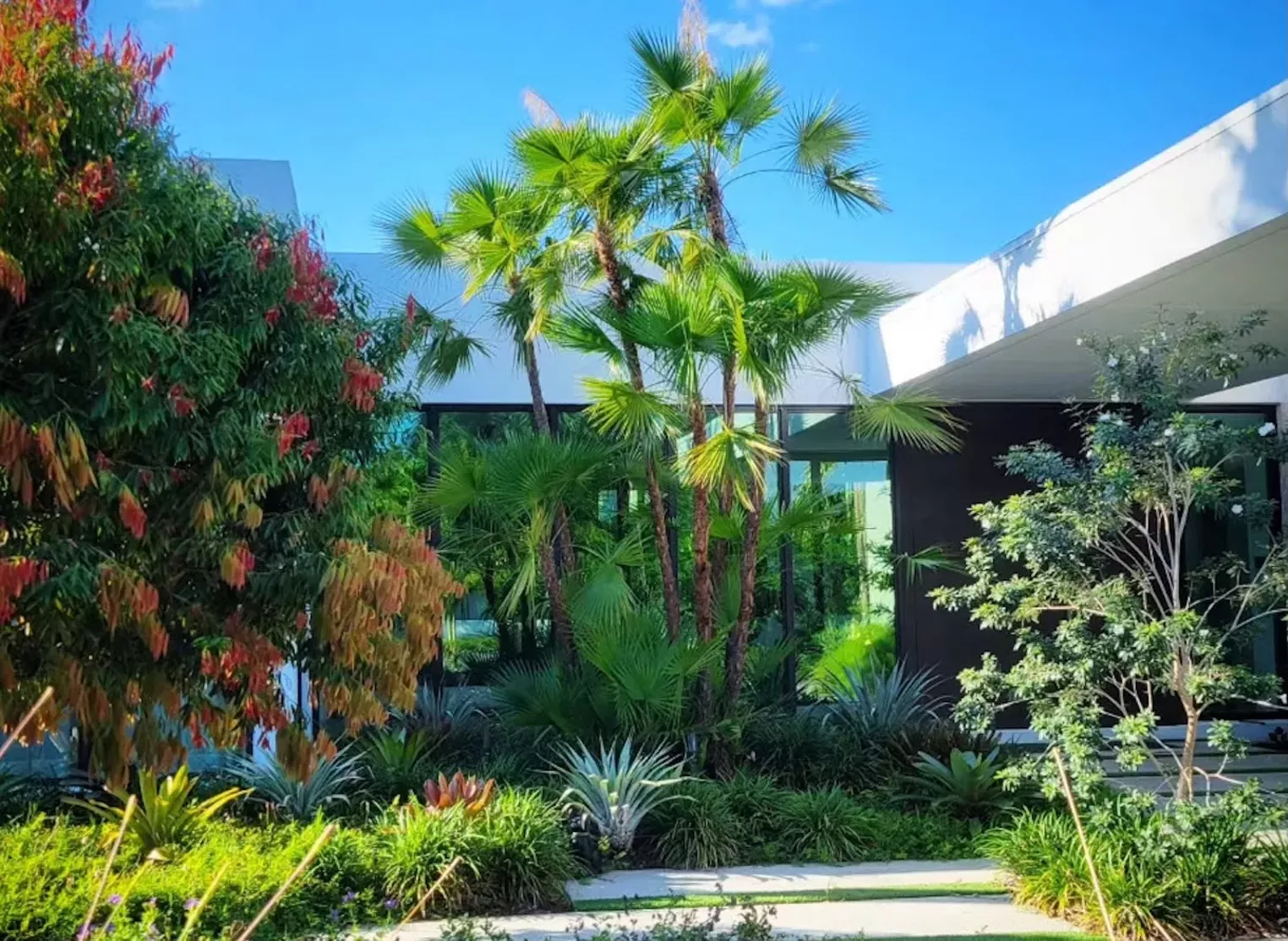 Best Landscape Design Service 2024 | The Botany Guild | Miami City ...