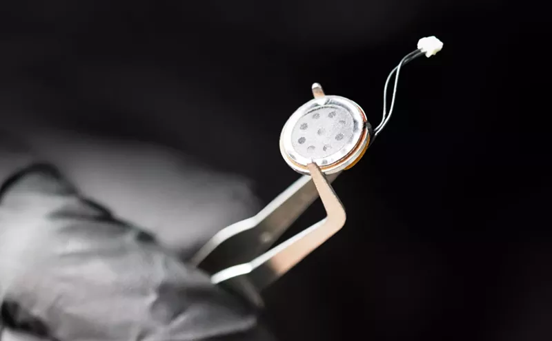 Sabina Petrescu Sun Gym Gang